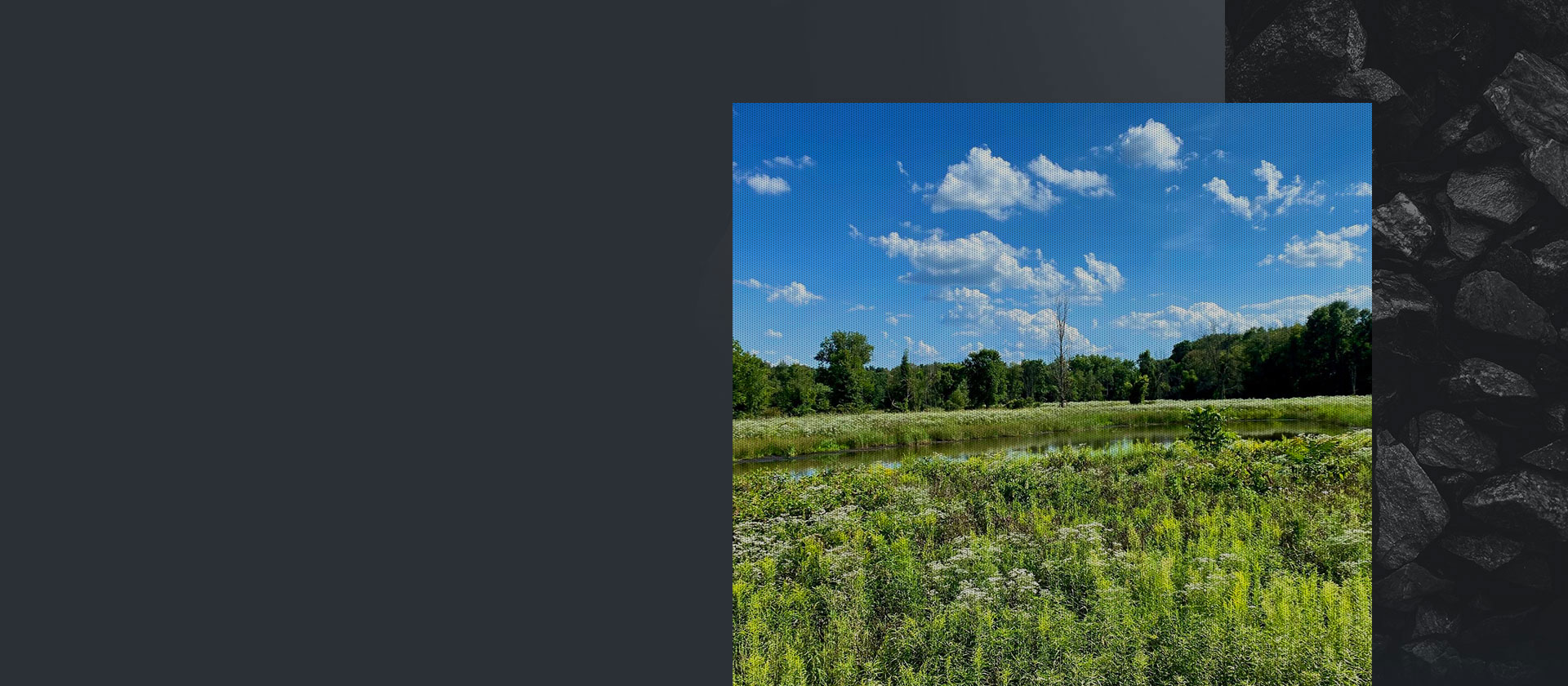 Lone Pine Outdoors, LLC – Northern Indiana Natural Habitat Restoration ...